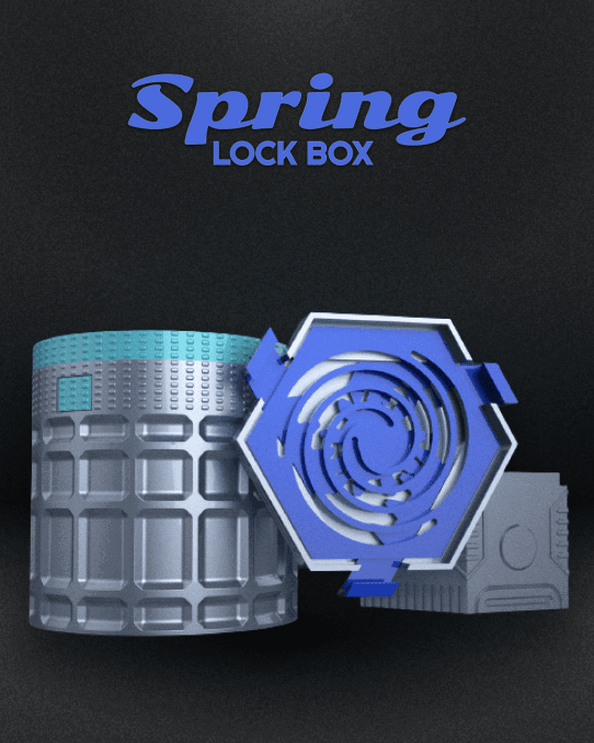 Spring Lock Box